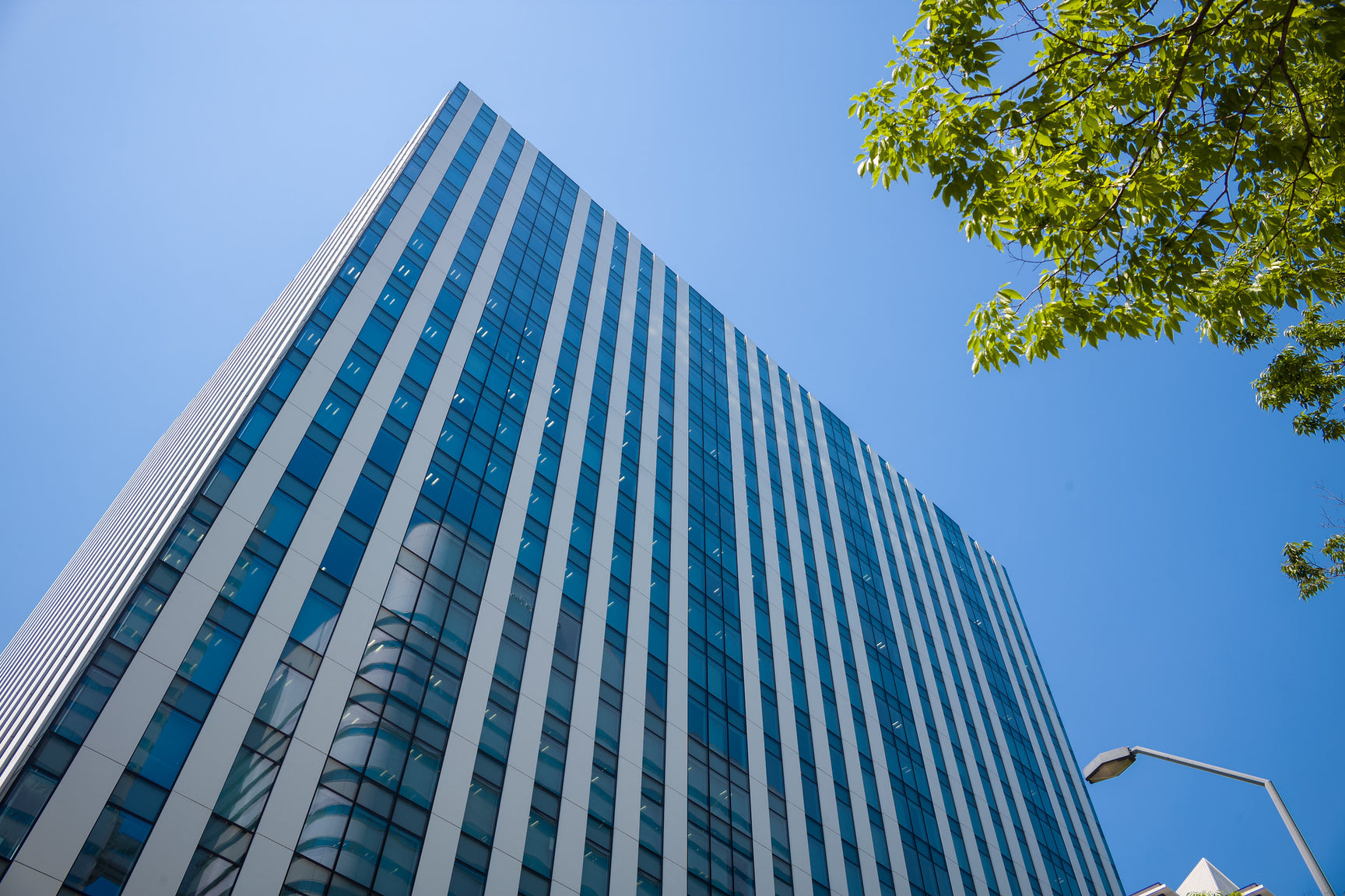 TEX – TEX Electronics